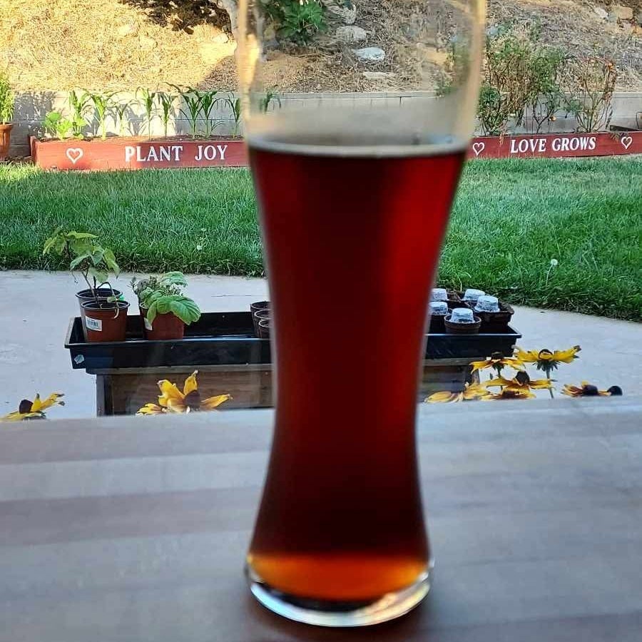 raspberry beer german